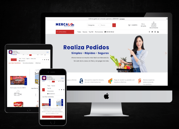 Developer Bikash Professional Full Stack Web Developer